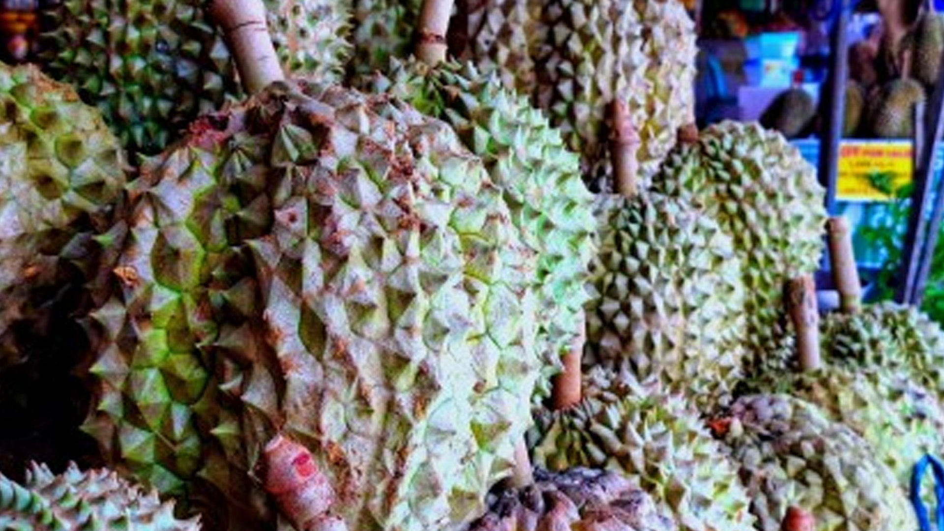 Department Of Agriculture Hastens ‘Good Practices’ Certification For ...